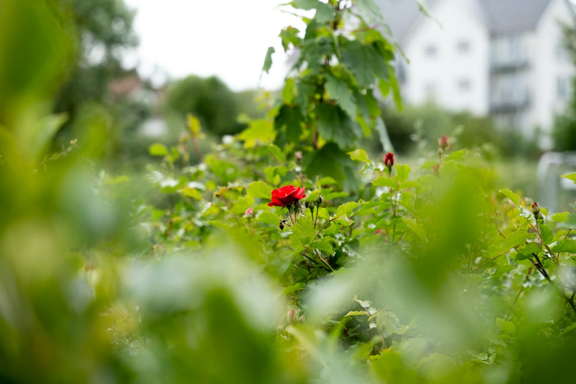 Carbon market hit US$1bn in 2025 – with higher prices offsetting lower ...